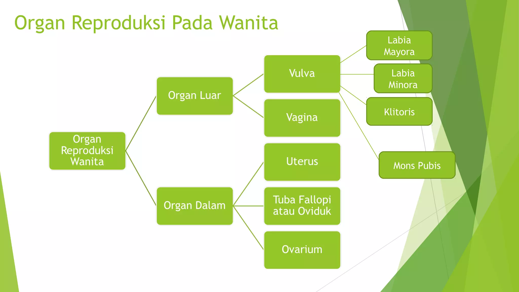 Biologi : Sistem Reproduksi Manusia | PPT