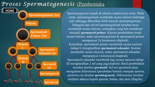 Biologi : Sistem Reproduksi Manusia | PPT