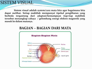Presentasi sistem visual | PPTX