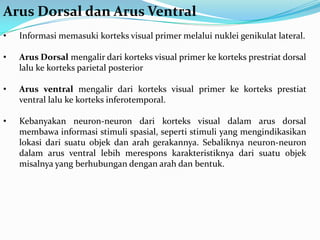 Presentasi sistem visual | PPTX