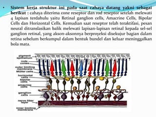 Presentasi sistem visual | PPTX