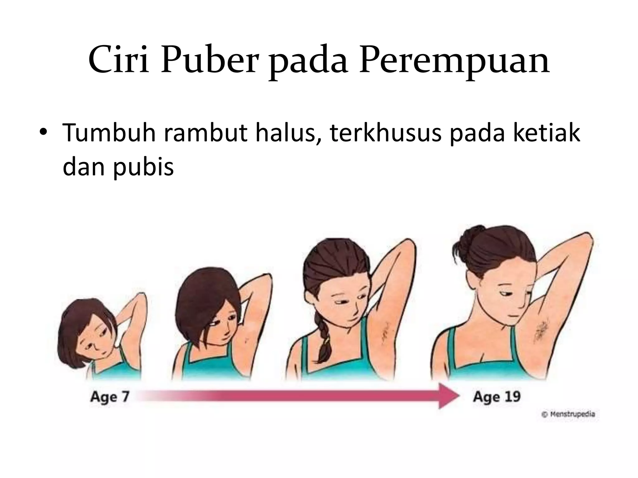 Sukses Pubertas Bagi Siswi SMP (Pra remaja) | PPTX