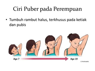 Sukses Pubertas Bagi Siswi SMP (Pra remaja) | PPTX