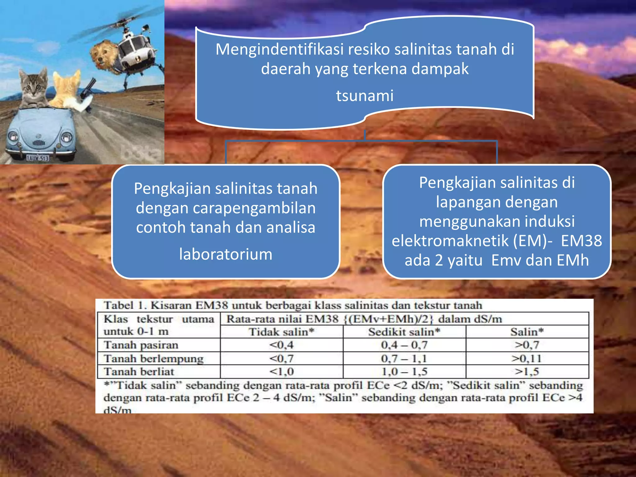 Presentasi tanah salin | PPTX