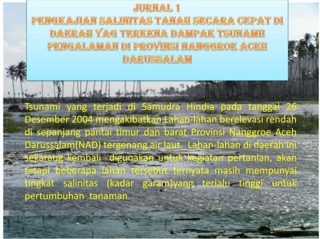 Presentasi tanah salin | PPTX