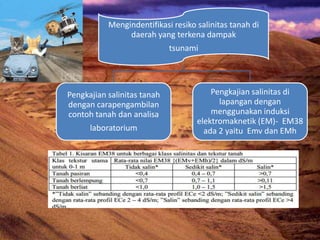 Presentasi tanah salin | PPTX