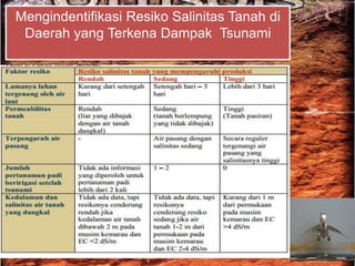 Presentasi tanah salin | PPTX