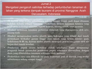Presentasi tanah salin | PPTX