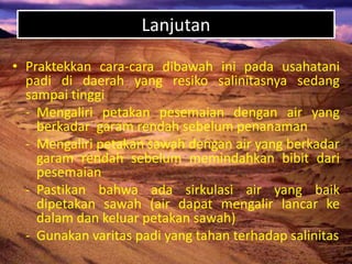 Presentasi tanah salin | PPTX