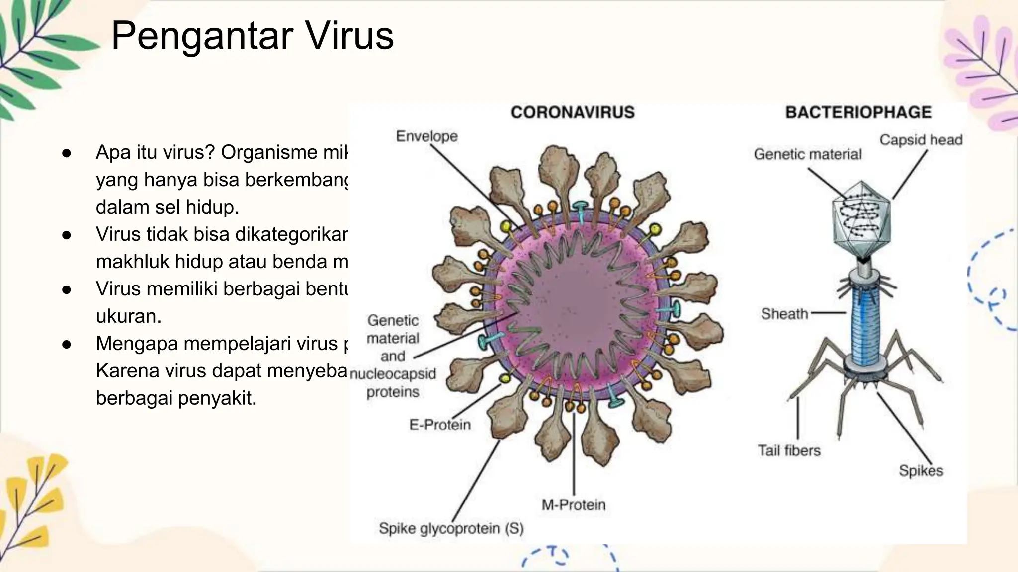 ciri-ciri serta struktur tubuh virus.pptx
