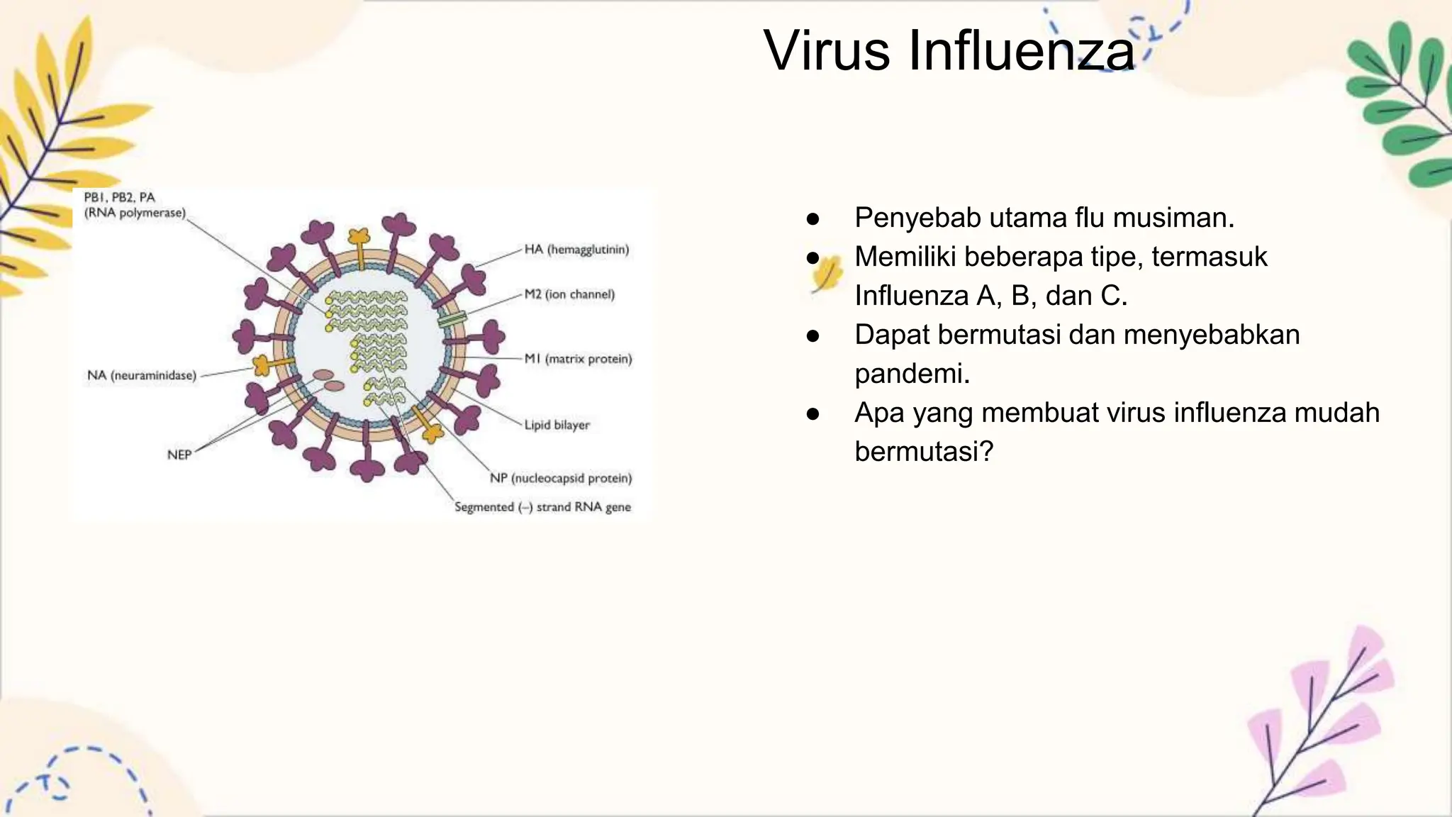 ciri-ciri serta struktur tubuh virus.pptx
