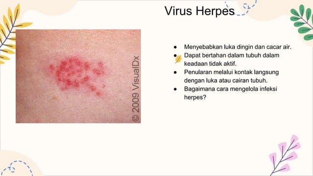 ciri-ciri serta struktur tubuh virus.pptx