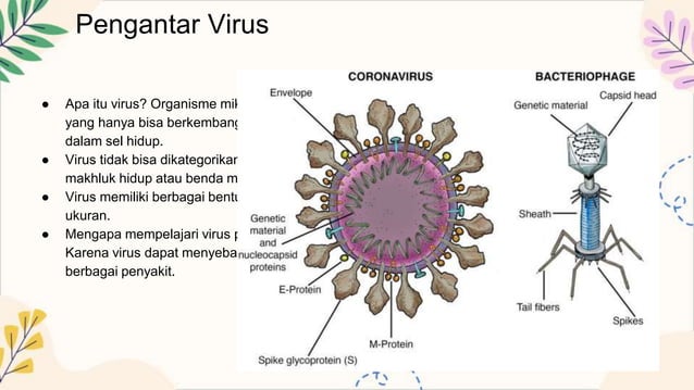 ciri-ciri serta struktur tubuh virus.pptx | Free Download