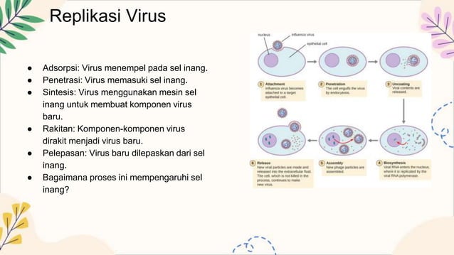 ciri-ciri serta struktur tubuh virus.pptx | Free Download