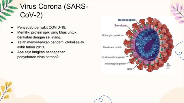 ciri-ciri serta struktur tubuh virus.pptx | Free Download