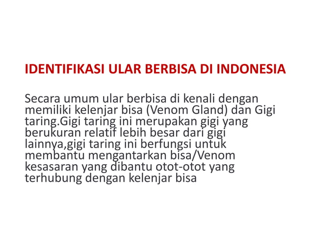 tatalaksana gigitan ular (snake bite) dan follow up | PPT