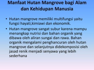 Presentasi usaha konservasi mangrove | PPTX