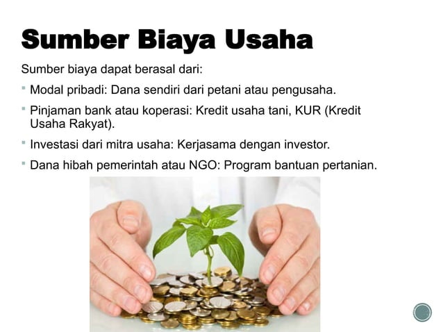 Presentasi_Usaha_Tanaman_Sayuran_Visual.pptx