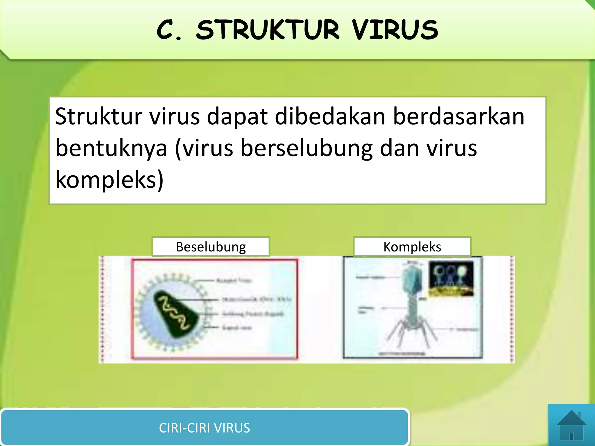 Presentasi virus 1 | PPTX