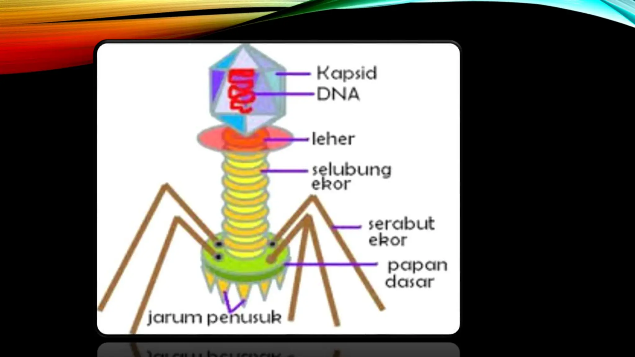 Presentasi Materi Virus Kelas X Semester 2.pptx