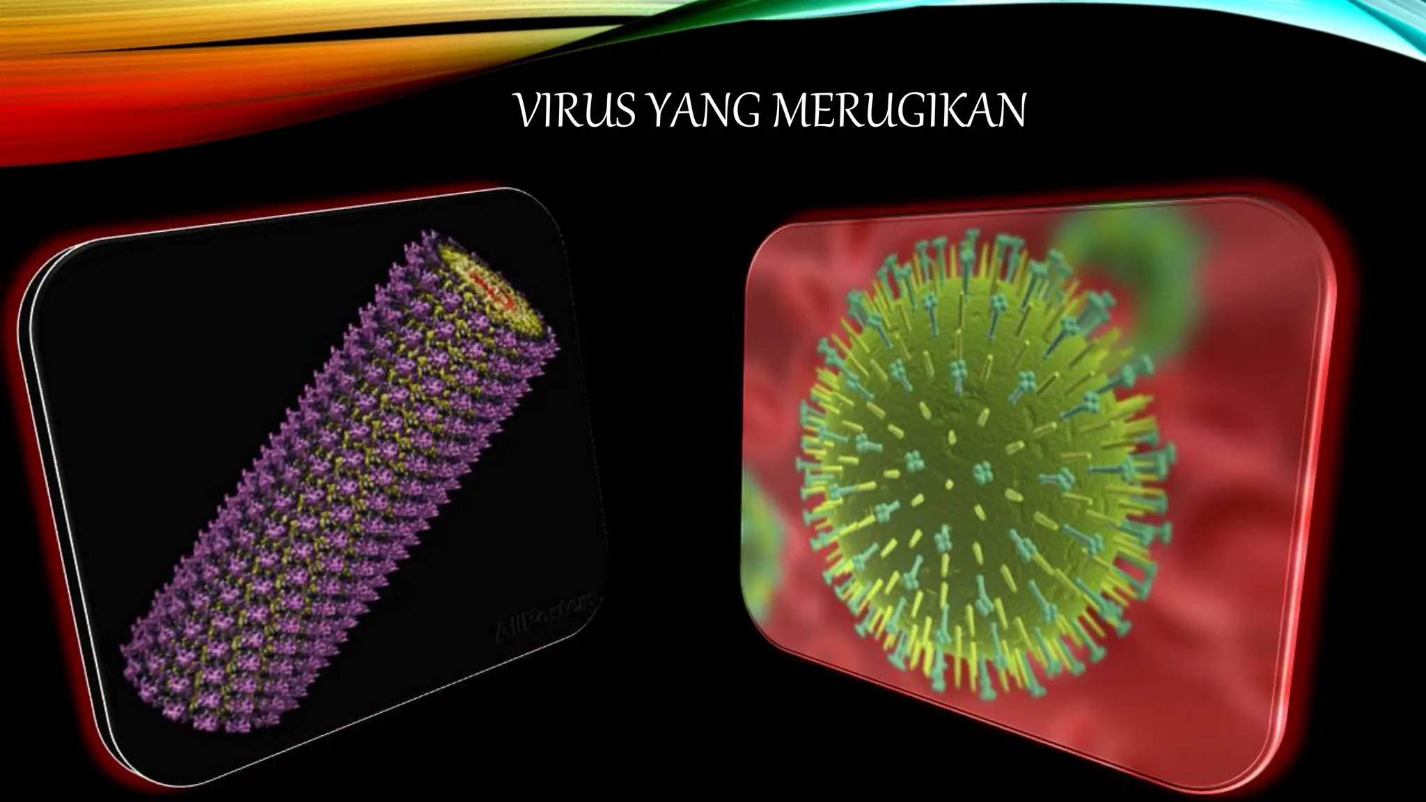 Presentasi Materi Virus Kelas X Semester 2.pptx