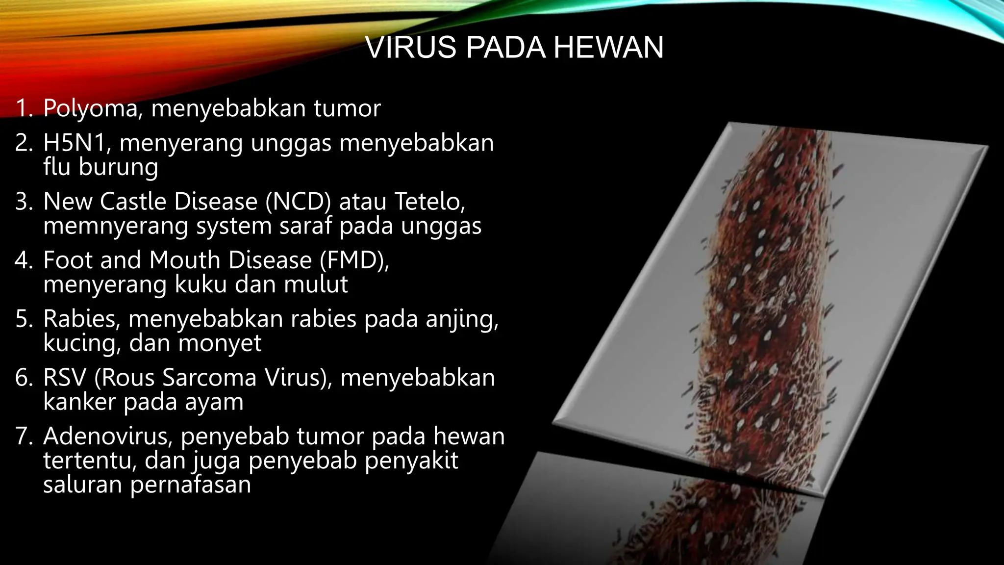 Presentasi Materi Virus Kelas X Semester 2.pptx