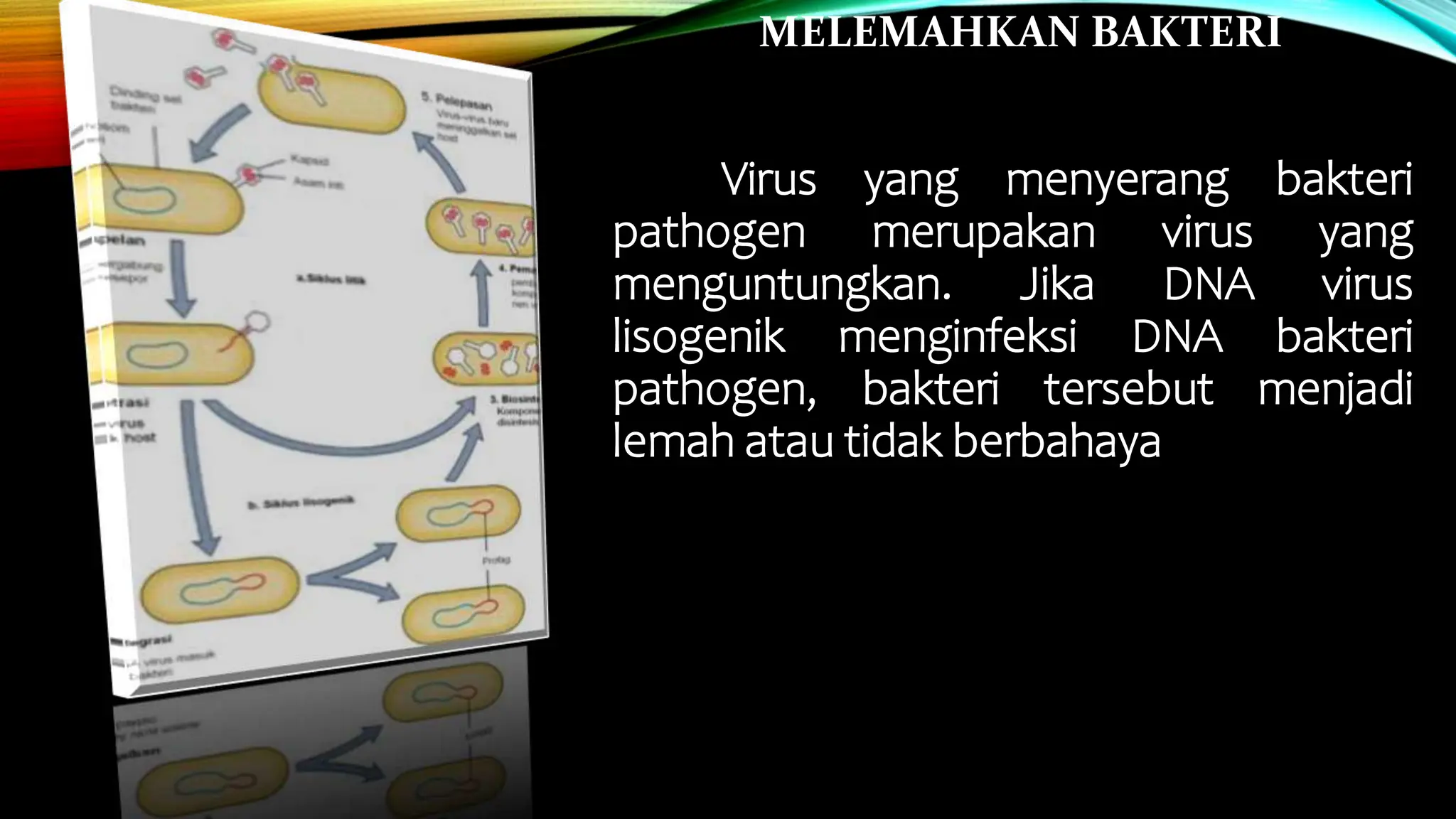 Presentasi Materi Virus Kelas X Semester 2.pptx