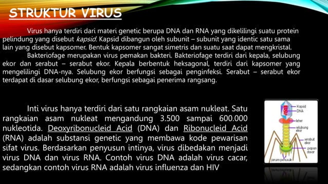 Presentasi Materi Virus Kelas X Semester 2.pptx