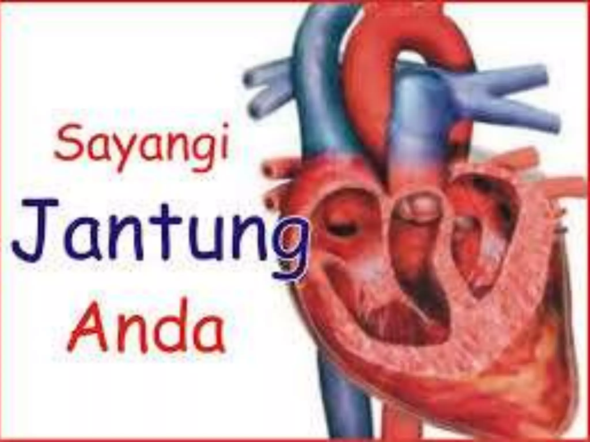 Presentasi vsd (Ventrikel septal defect) | PPTX