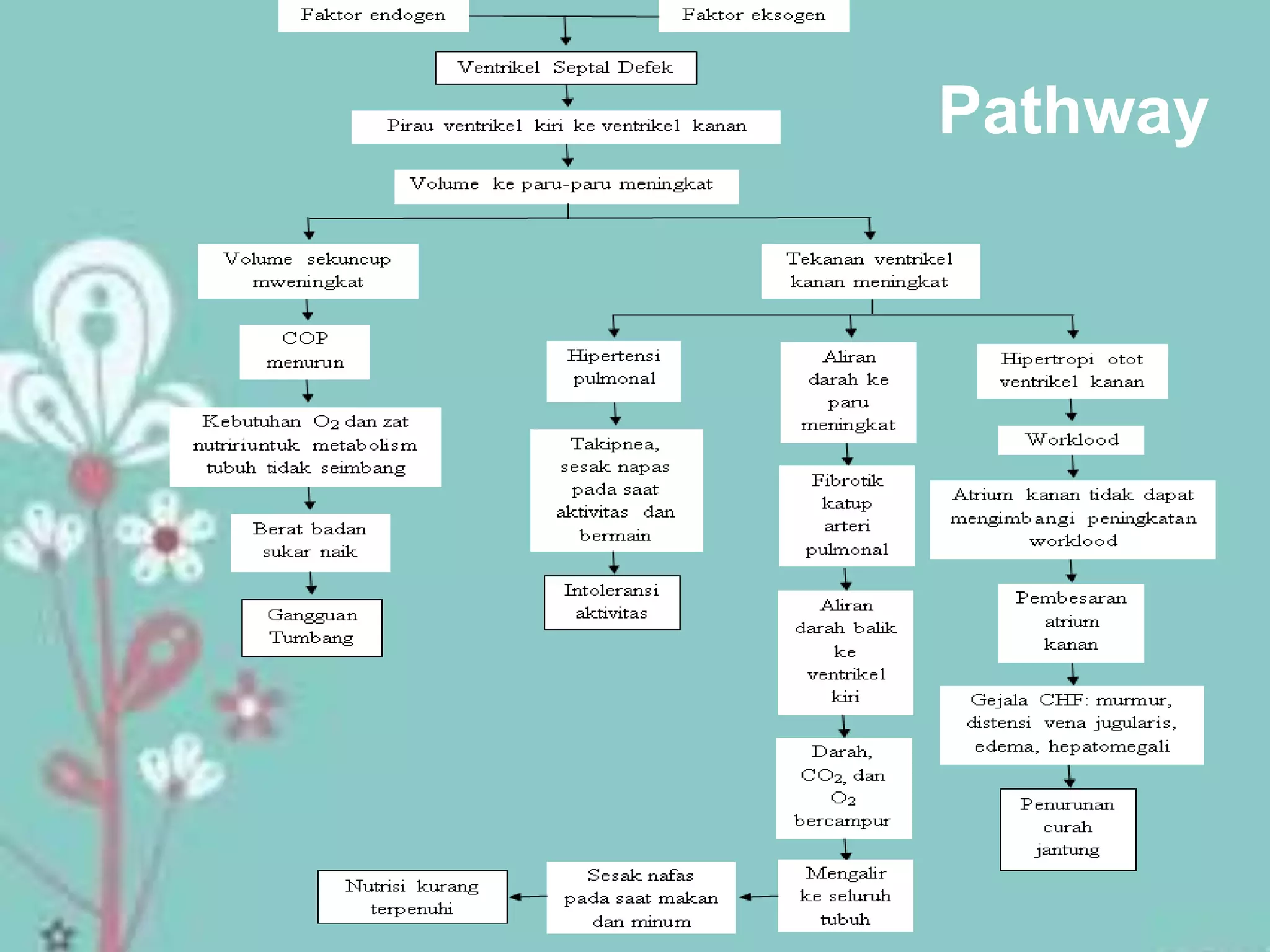 Presentasi vsd (Ventrikel septal defect) | PPTX