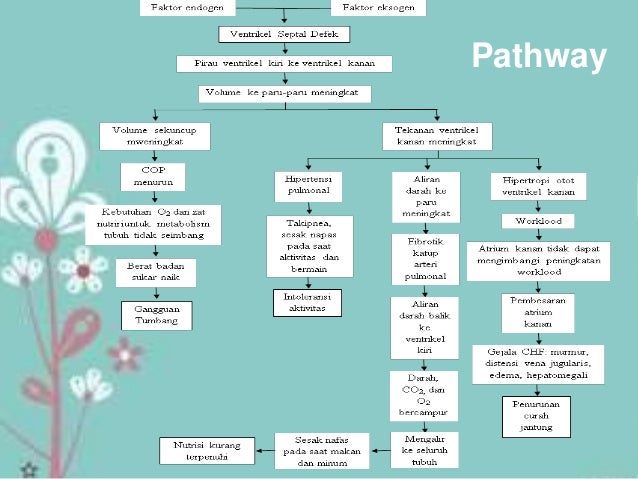 Presentasi vsd (Ventrikel septal defect)