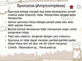 Zoologi Avertebrata "Protozoa" | PPT