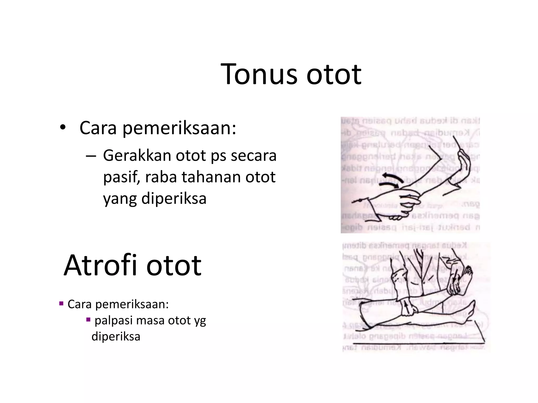 presentasi zoom tonus-kekuatan.pptx