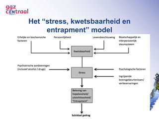 Bijscholing Huisartsen - Suïcidaal Gedrag | PPTX