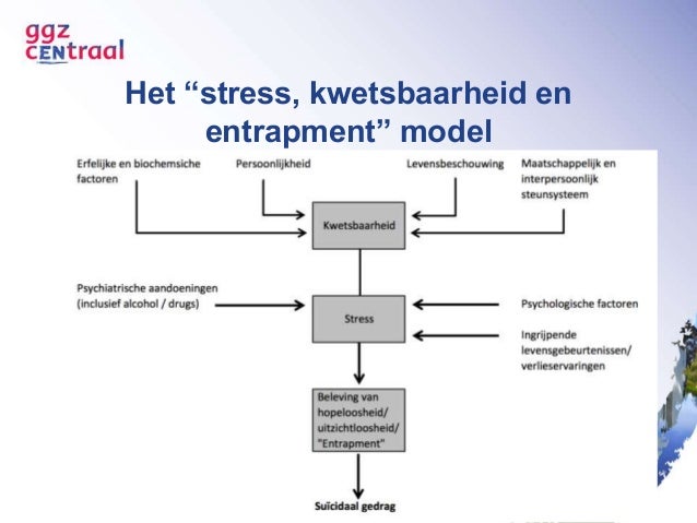Bijscholing Huisartsen - Suïcidaal Gedrag