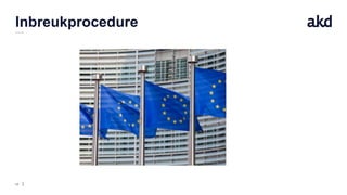 Professioneel opdrachtgeverschap | PPTX