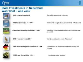 Presentatie DWS | PPT
