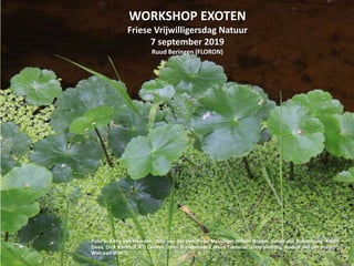Exoten (planten) | PPTX