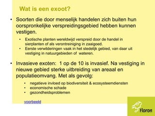 Exoten (planten) | PPT