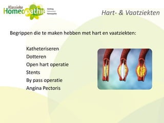 Presentatie hart & vaatziekten | PDF