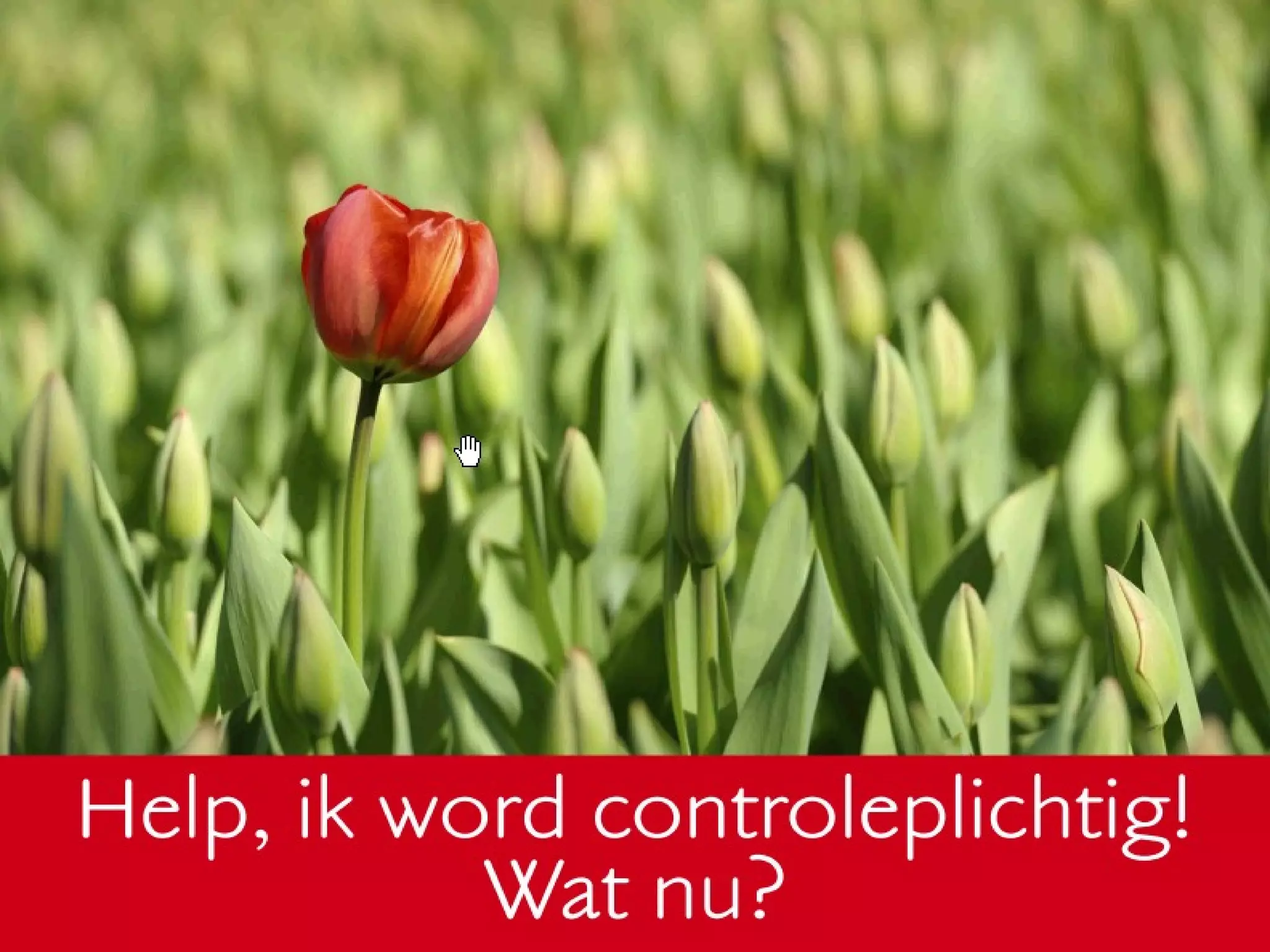 Help, ik word controleplichtig! | PPT