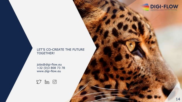 Company presentation Digi-Flow | PPTX