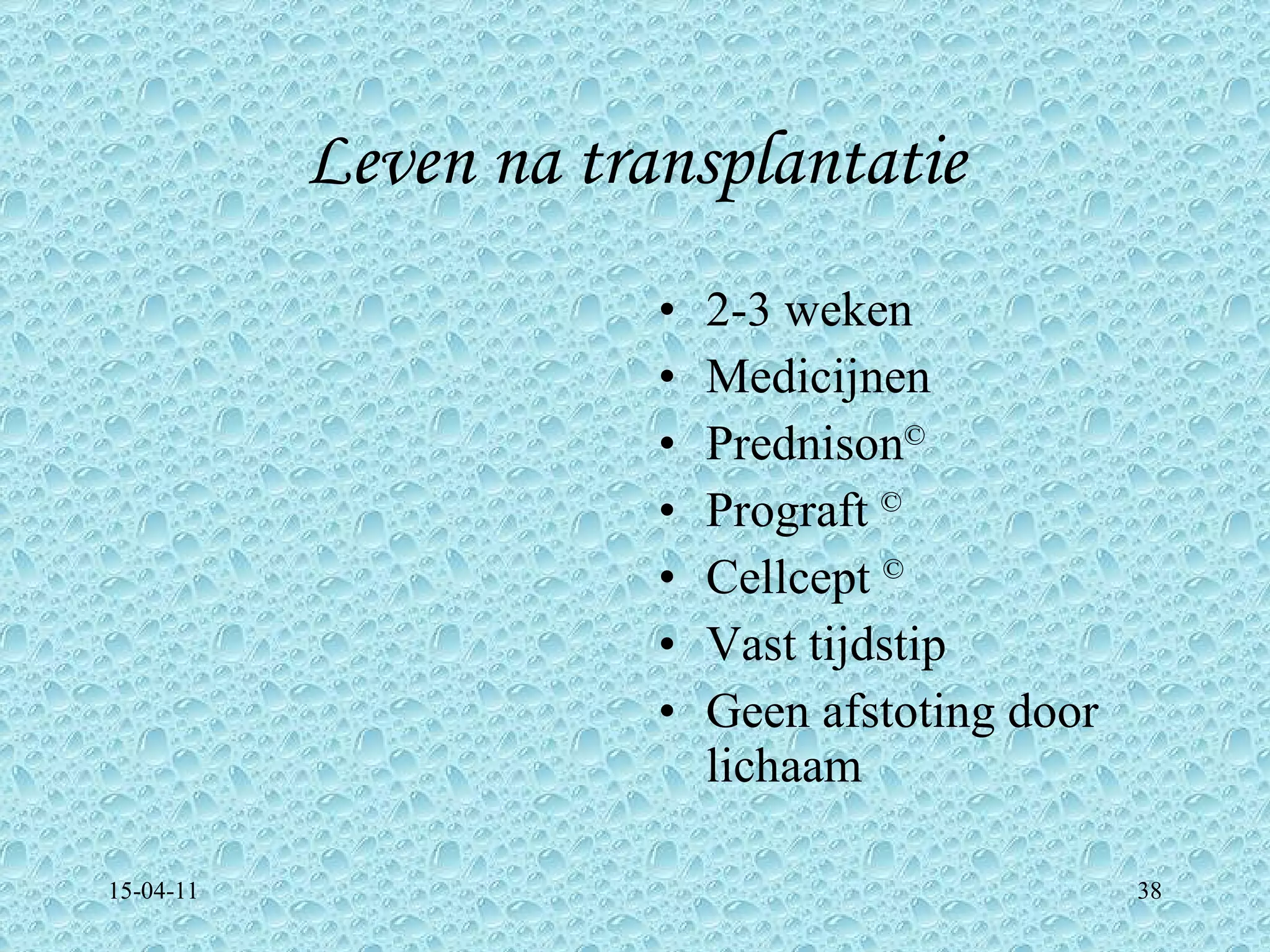 Presentation about Kidneys | PPT | Chemistry | Science