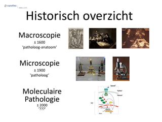 Presentatie pathologie basis_nmdl-lcpl | PPTX