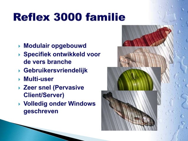 ReflexSystems - Bedrijfspresentatie | PPT