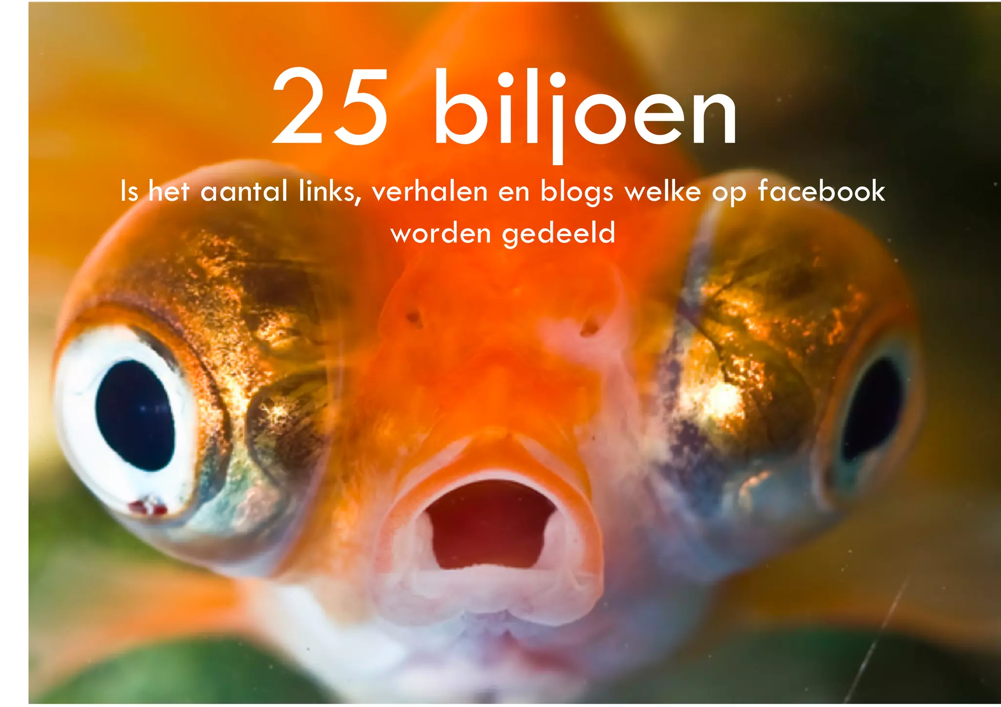 Presentatie social media | PDF