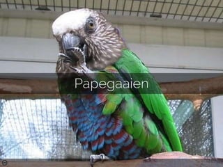 Presentatie Social Media Club 073