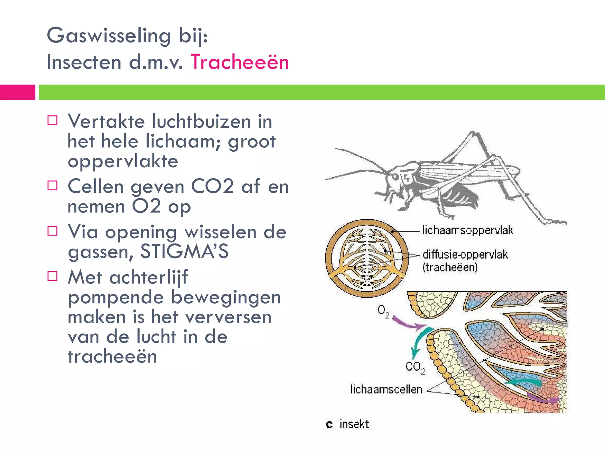 Presentatie uitwerking doelstelling 1 h3 | PPT