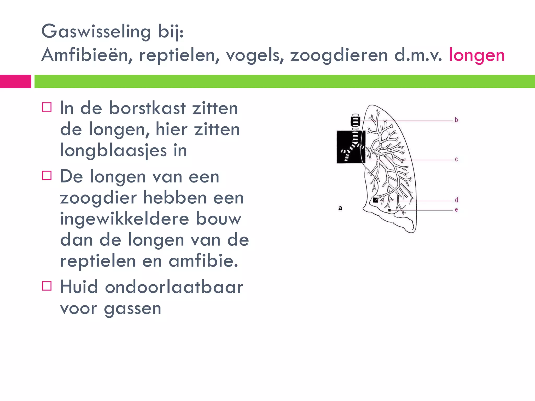 Presentatie uitwerking doelstelling 1 h3 | PPT