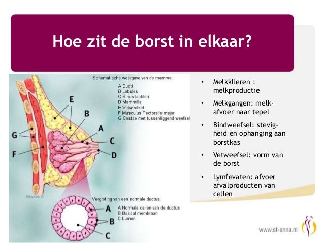 Presentatie videospreekuur borstzorg